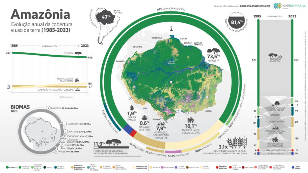 MapBiomas Amazonia